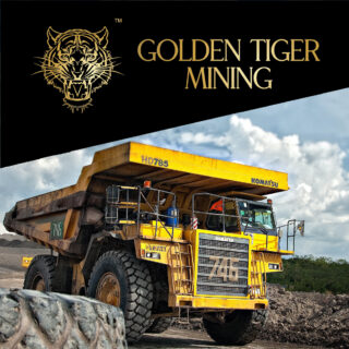 Home - Golden Tiger Group